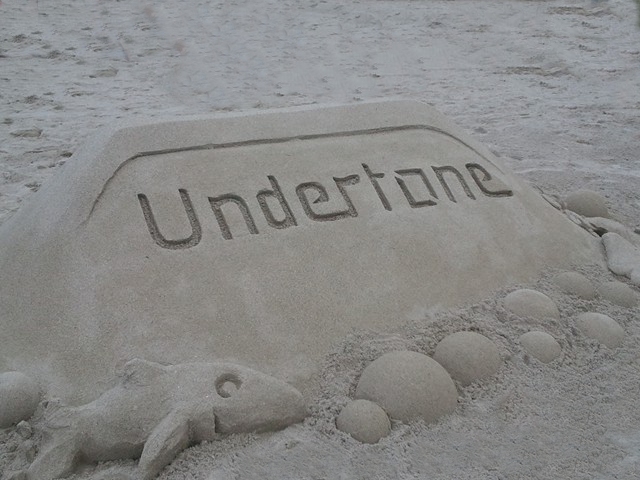 Photos, pictures of amazing sand sculptures, sand Castles - The Sand ...